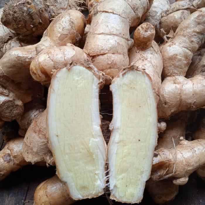 Manfaat Temu Putih (Curcuma zedoaria) Untuk Kesehatan - Sabilulhuda