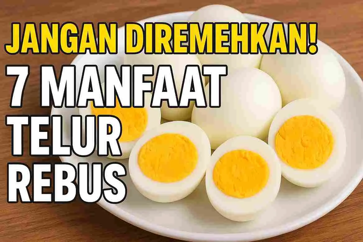 Jangan Diremehkan! 7 Manfaat Telur Rebus Yang Bisa Ubah Kesehatan Tubuh ...